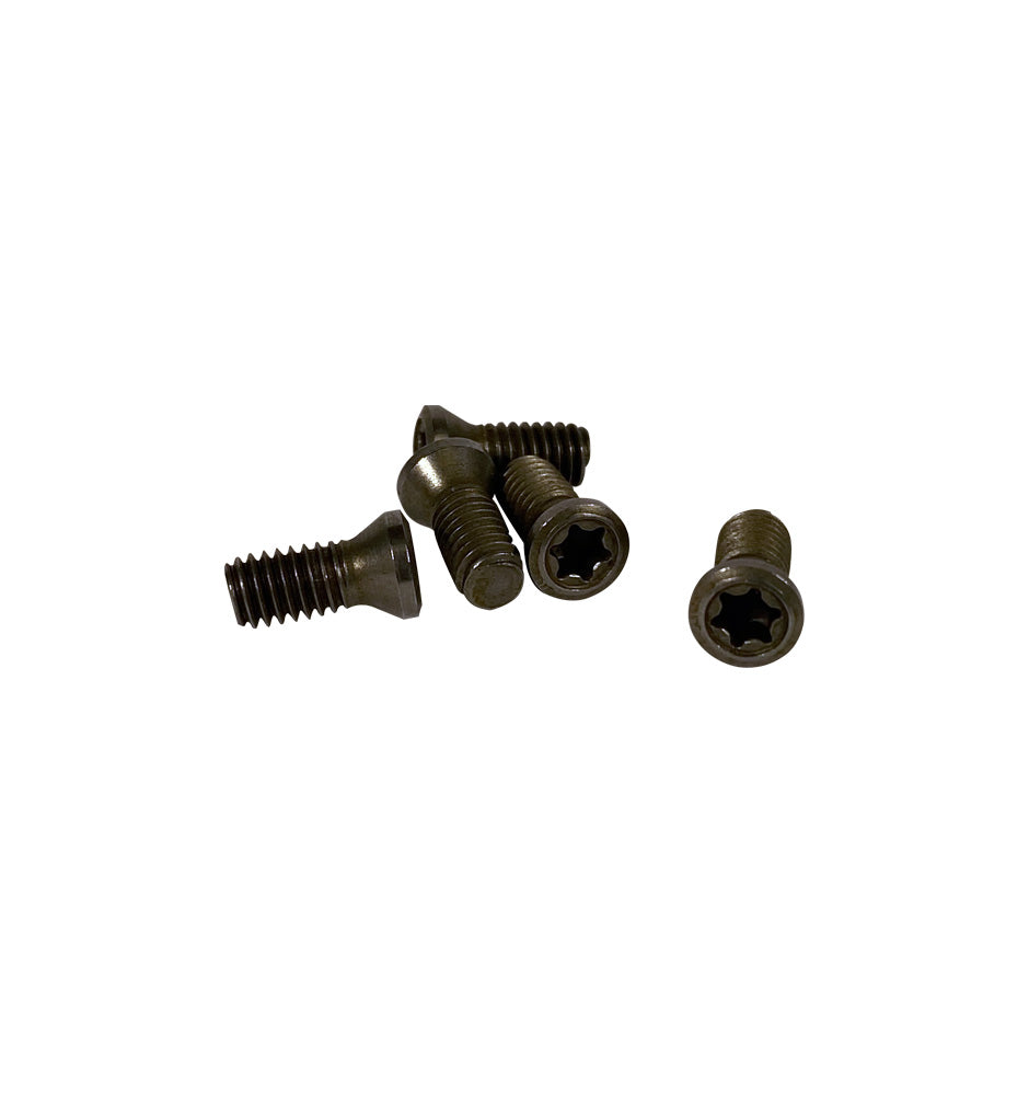 Torx screw 4.0x10 — Highland Automation